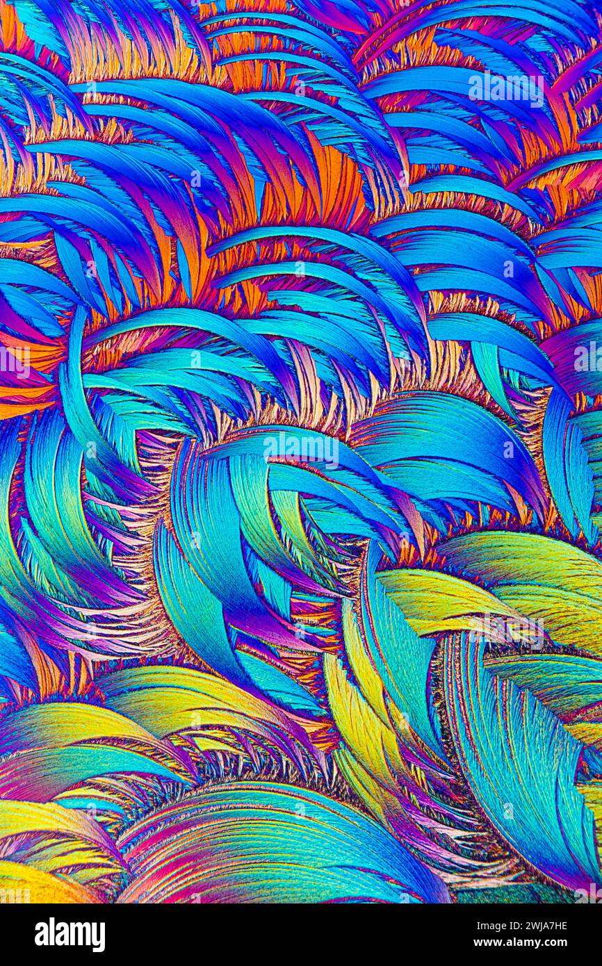 Microscopic image reveals the vivid feather-like patterns of salicylic ...