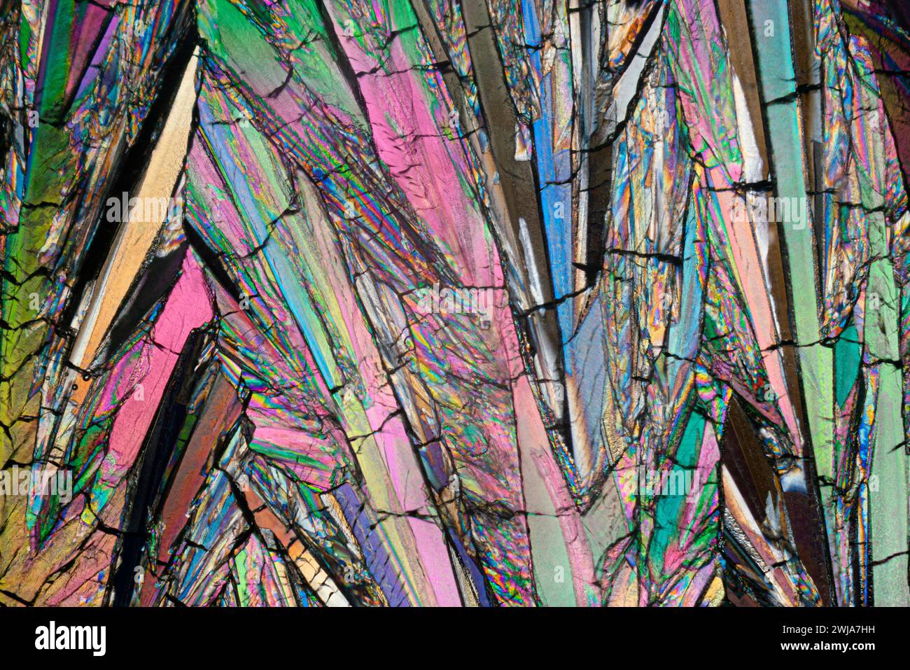 Close-up microscope image showcasing the intricate, colorful patterns ...