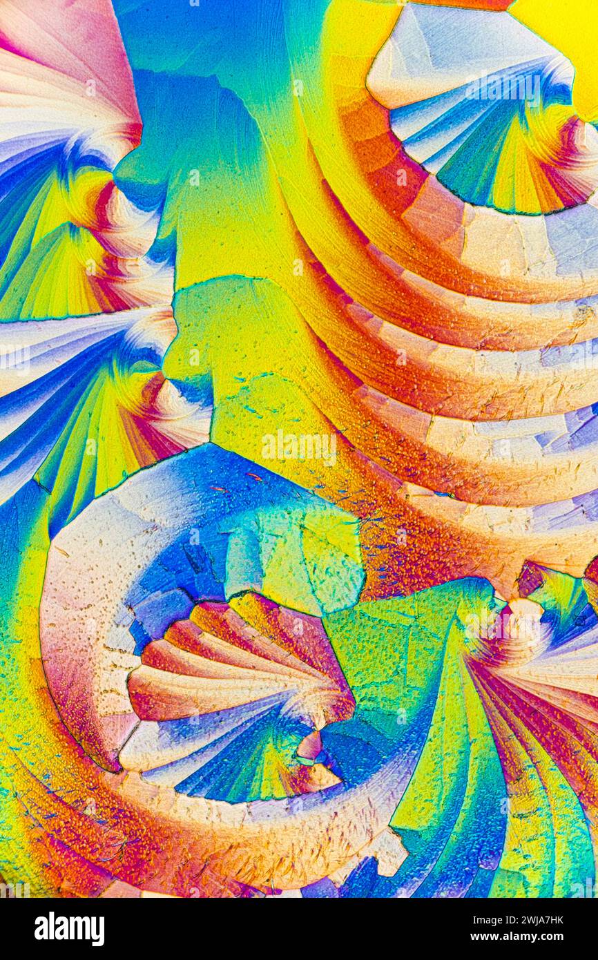 A stunning micrograph showcasing the intricate, colorful patterns of ...