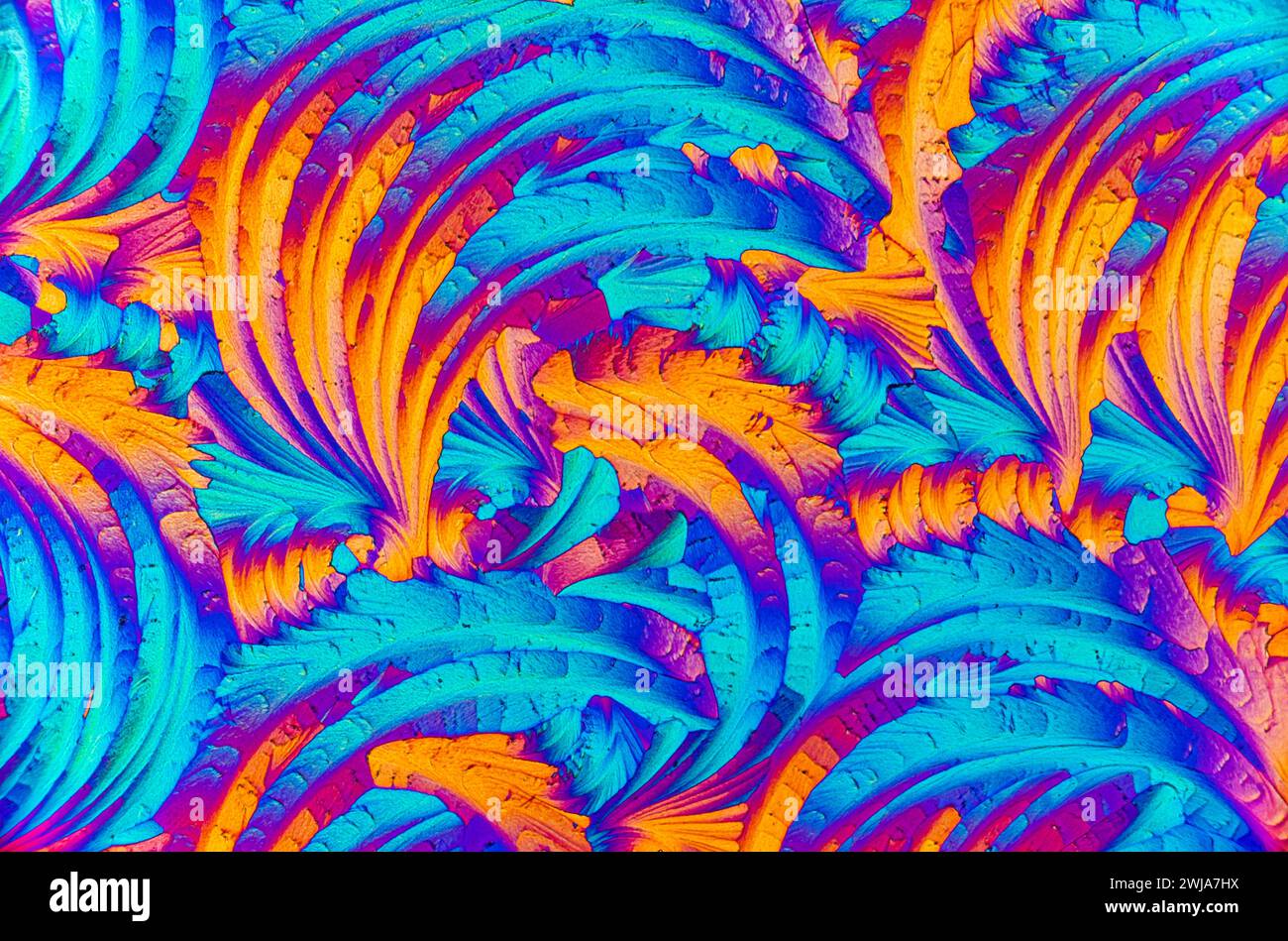 Salicylic acid crystals under a microscope reveal a swirling dance of ...