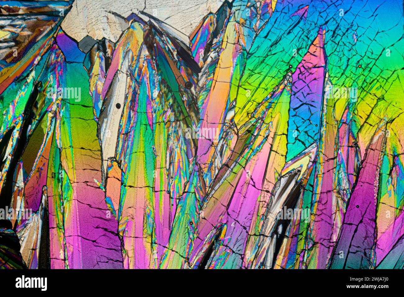 Microscopic shot capturing the vivid, multicolored patterns and ...