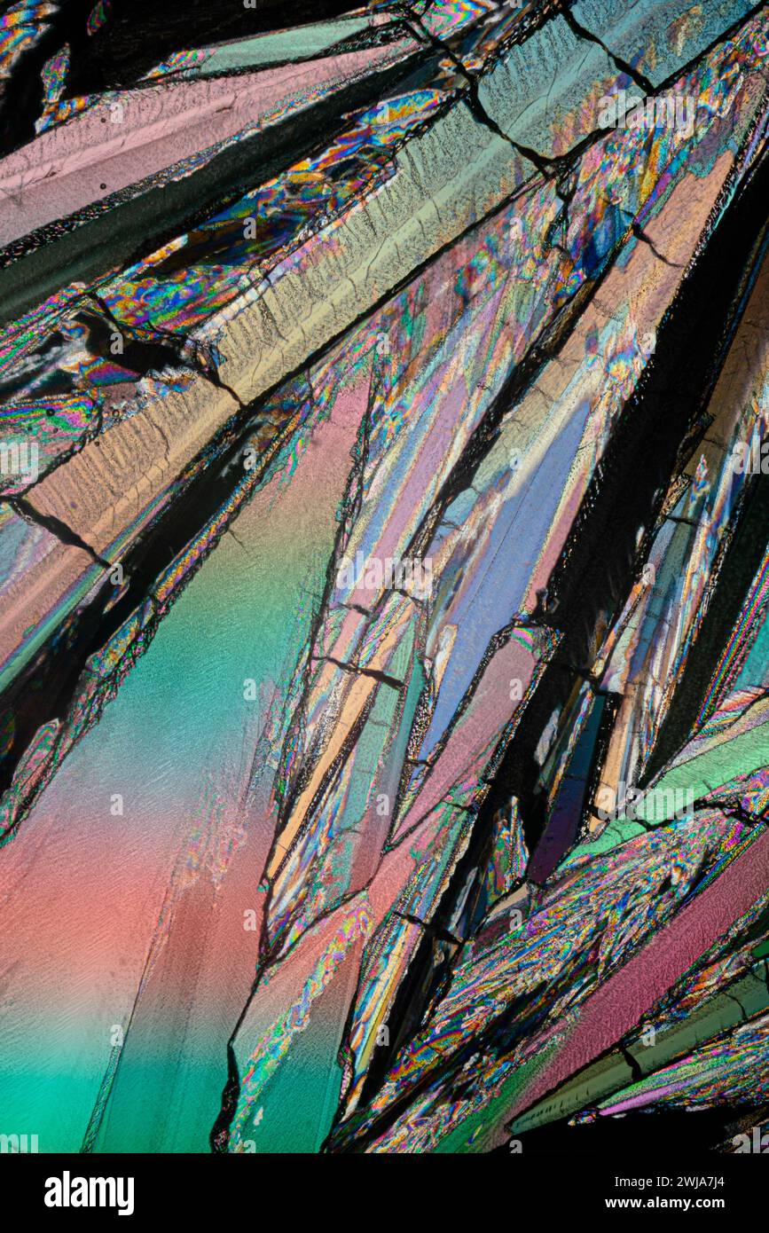 A stunning microscopic view of erythritol sugar crystals, featuring ...