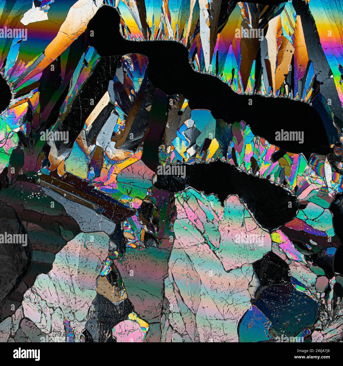 Abstract microscopic image displaying a dramatic contrast between the ...