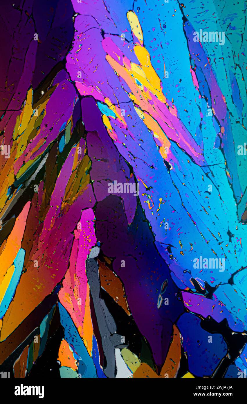 Vivid and sharp erythritol sugar crystals captured under a microscope ...