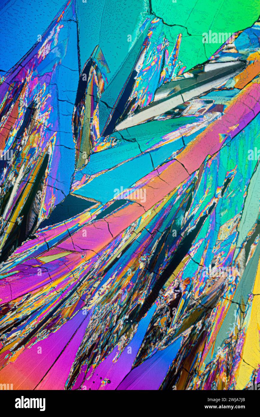 Microscopic image of erythritol sugar crystals featuring a vivid clash ...