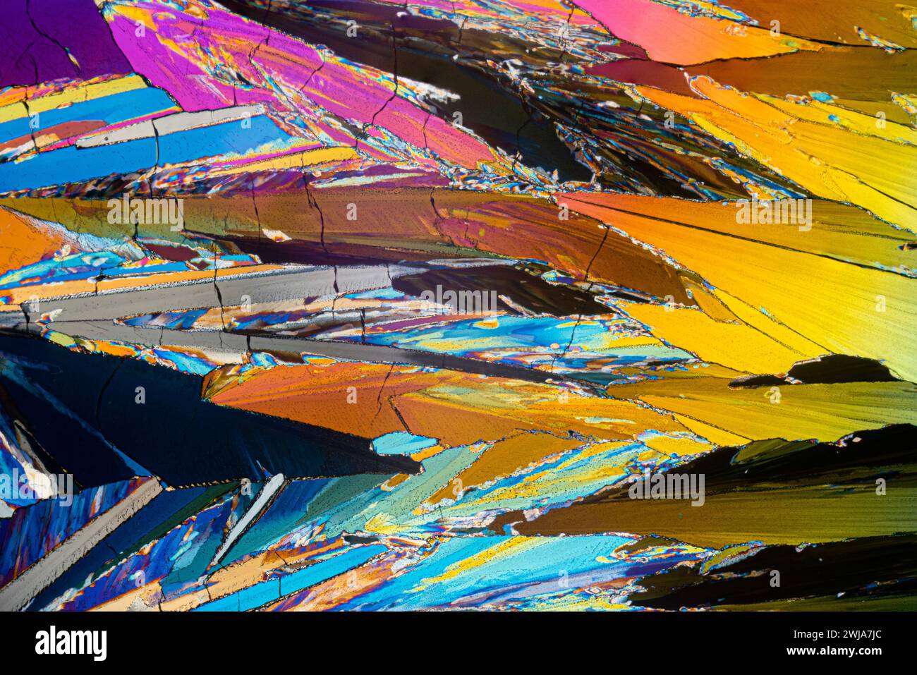 Microscopic image of erythritol sugar crystals forming a sharp-edged ...