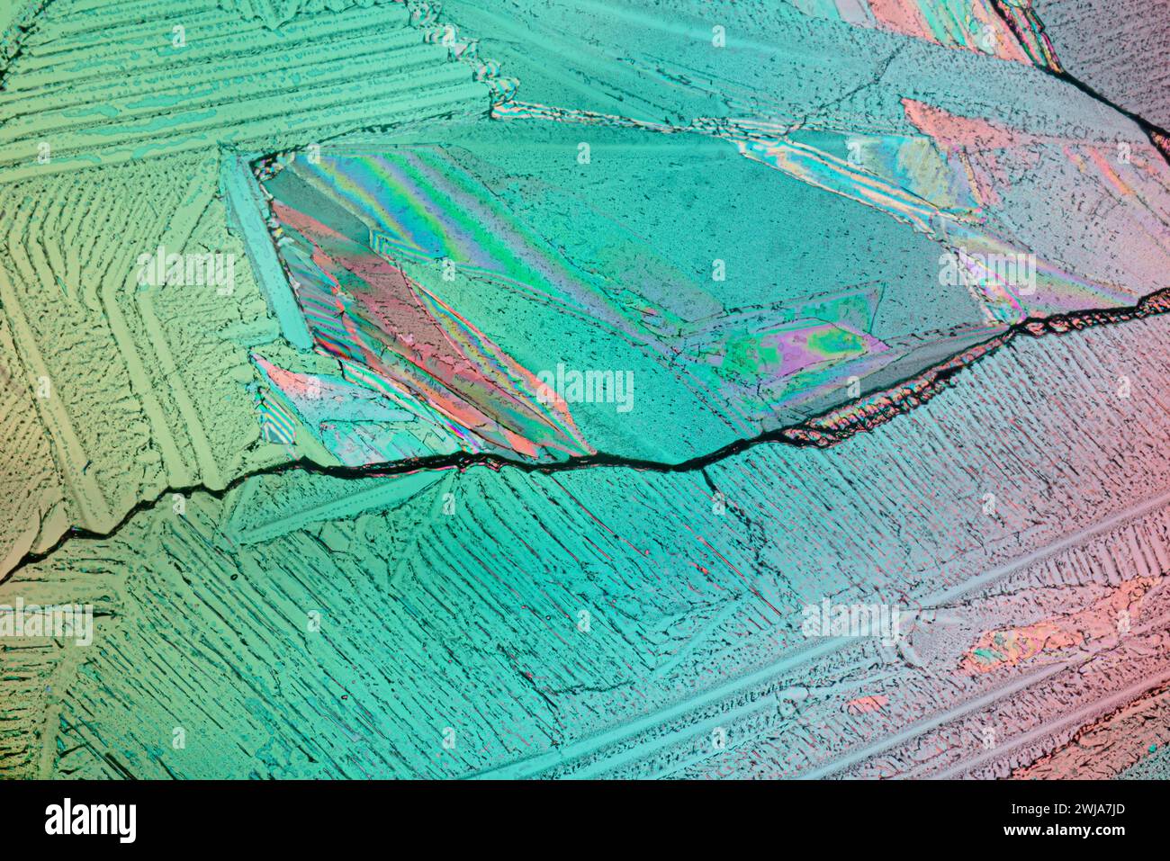 Microscopic view of erythritol sugar crystals with a pastel color ...