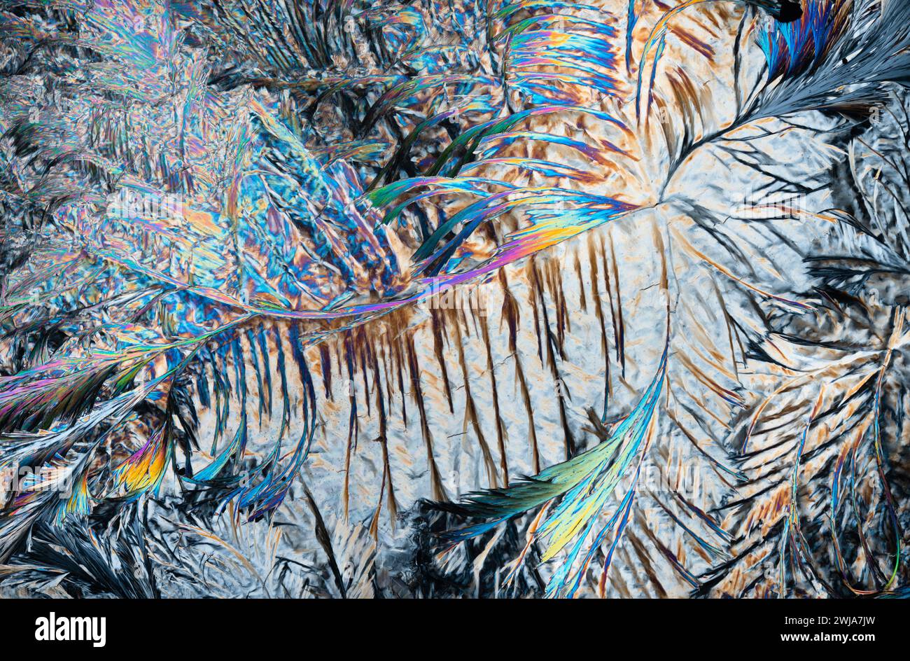 This image showcases an abstract textured surface with iridescent ...
