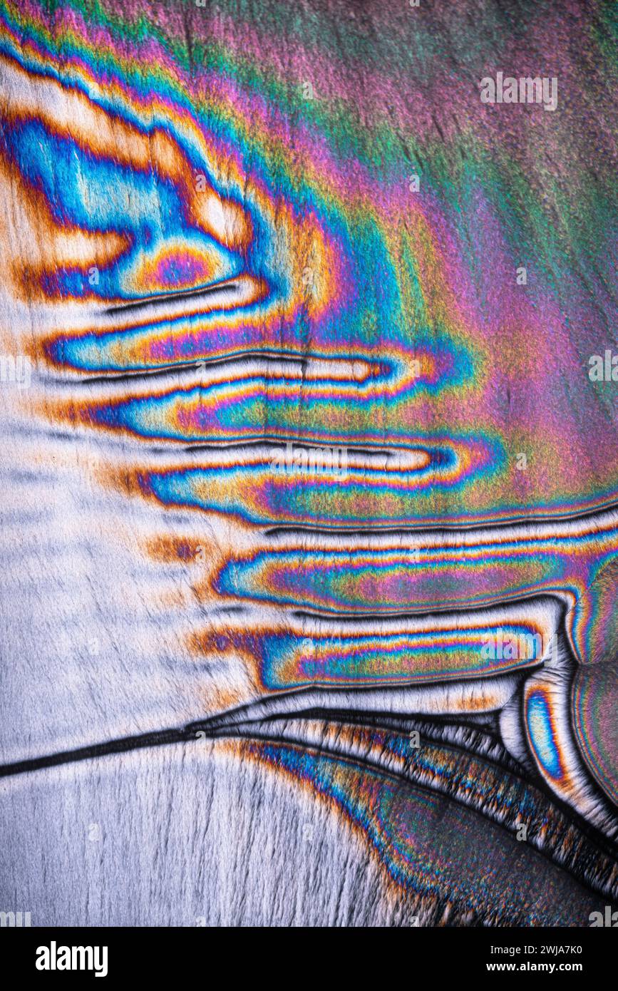 This image showcases the stunning interference patterns of thin film ...