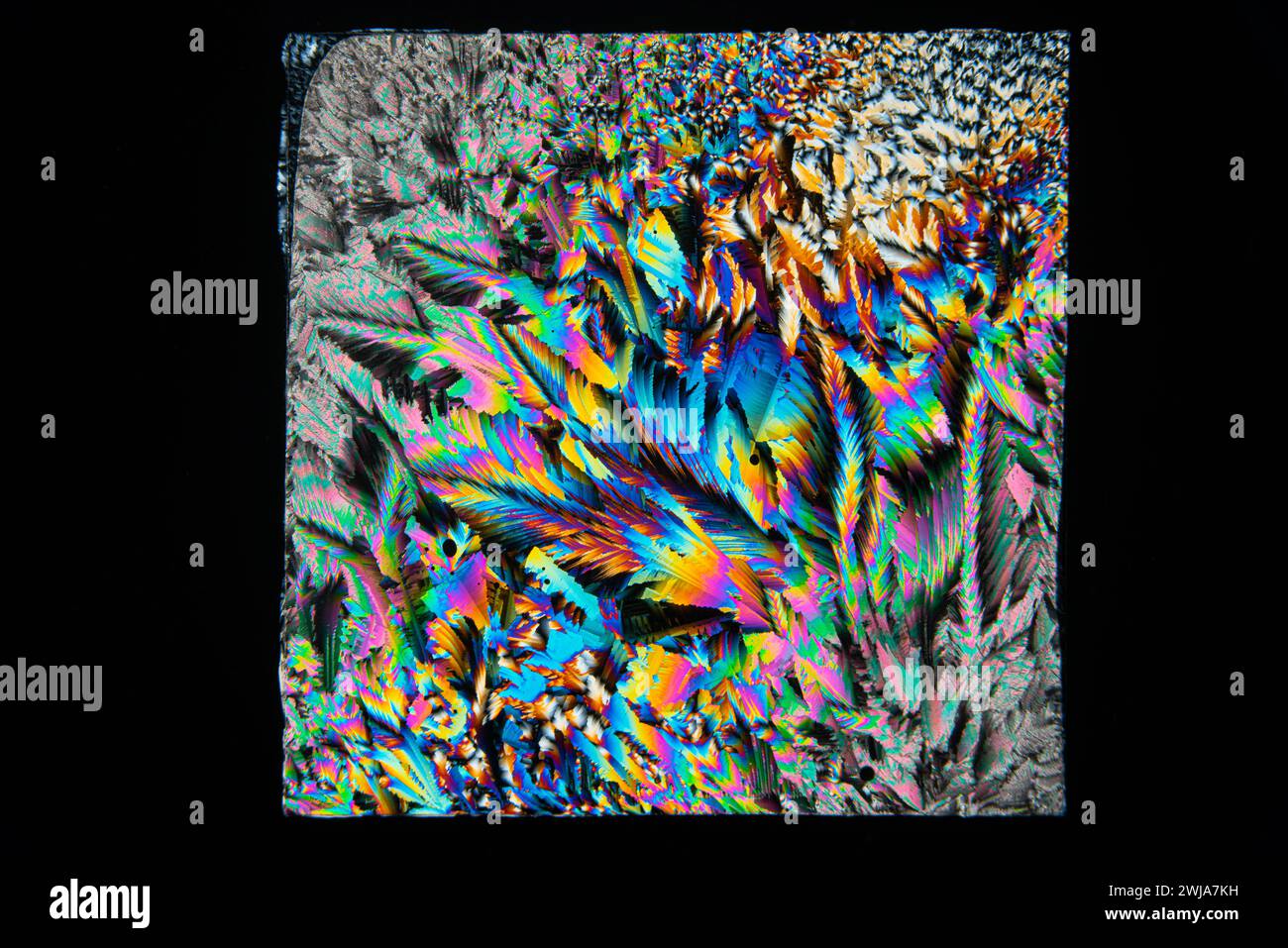 A close-up of crystalline structures showcasing a vibrant spectrum of ...