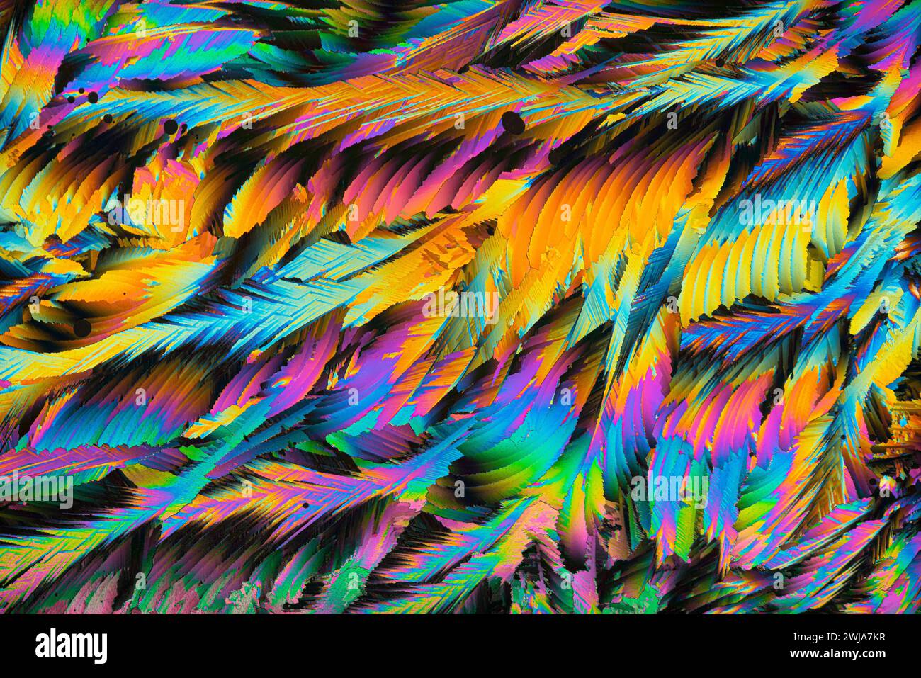 Dynamic and colorful abstract feather-like patterns create a vibrant ...