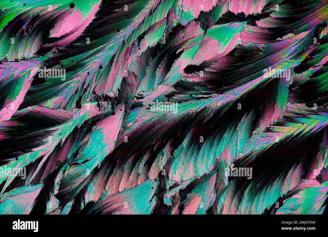 An image featuring a close-up of feathers with an abstract neon color ...