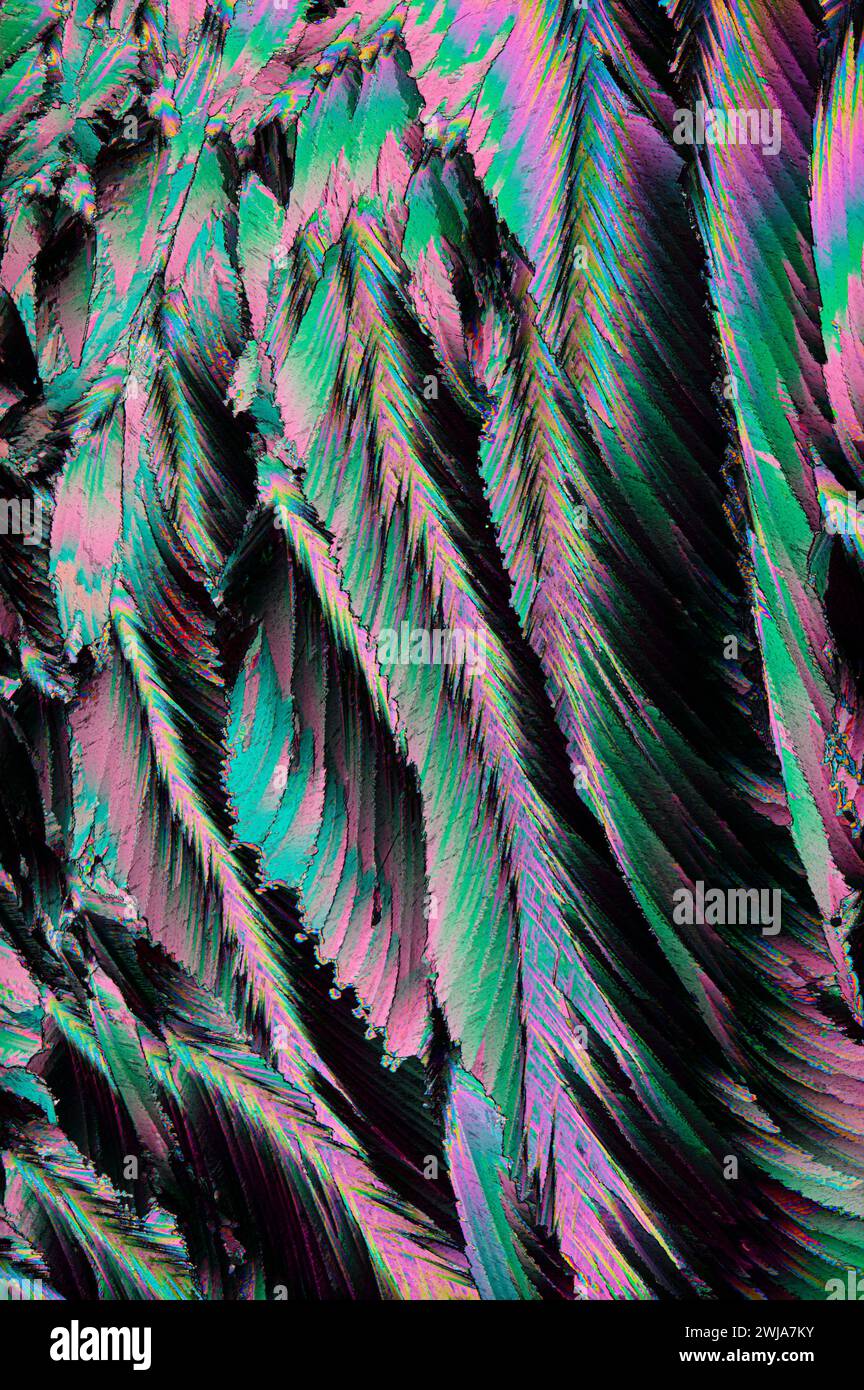 This image captures a close-up of feathers with a vivid neon pink and ...