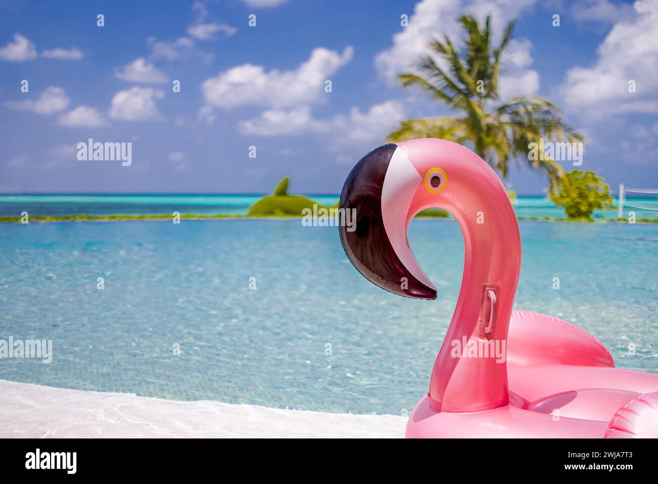 Summer tourism swimming pool inflatable pink flamingo, luxury resort ...