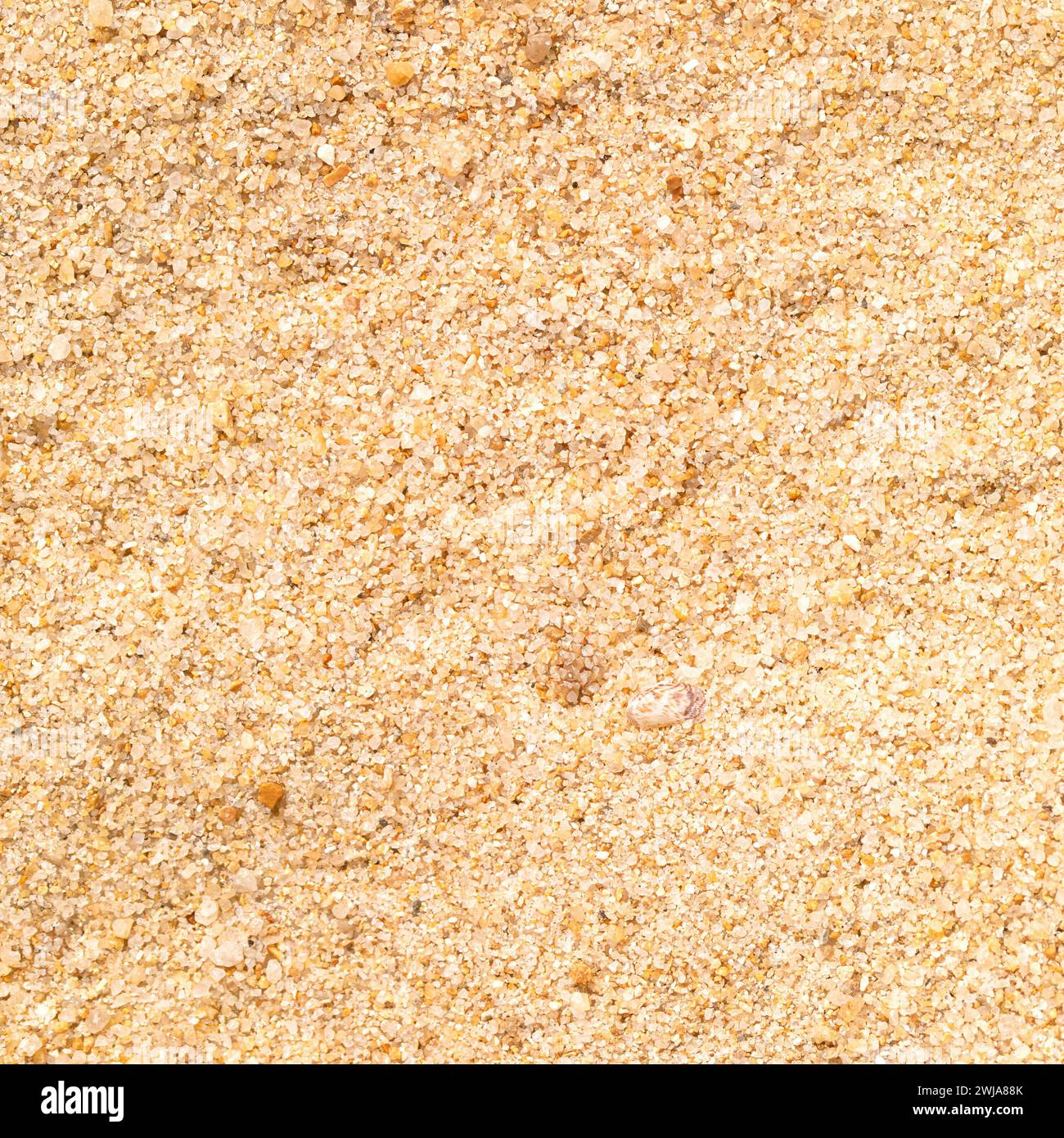 Bright sand texture background with copy space Stock Photo - Alamy