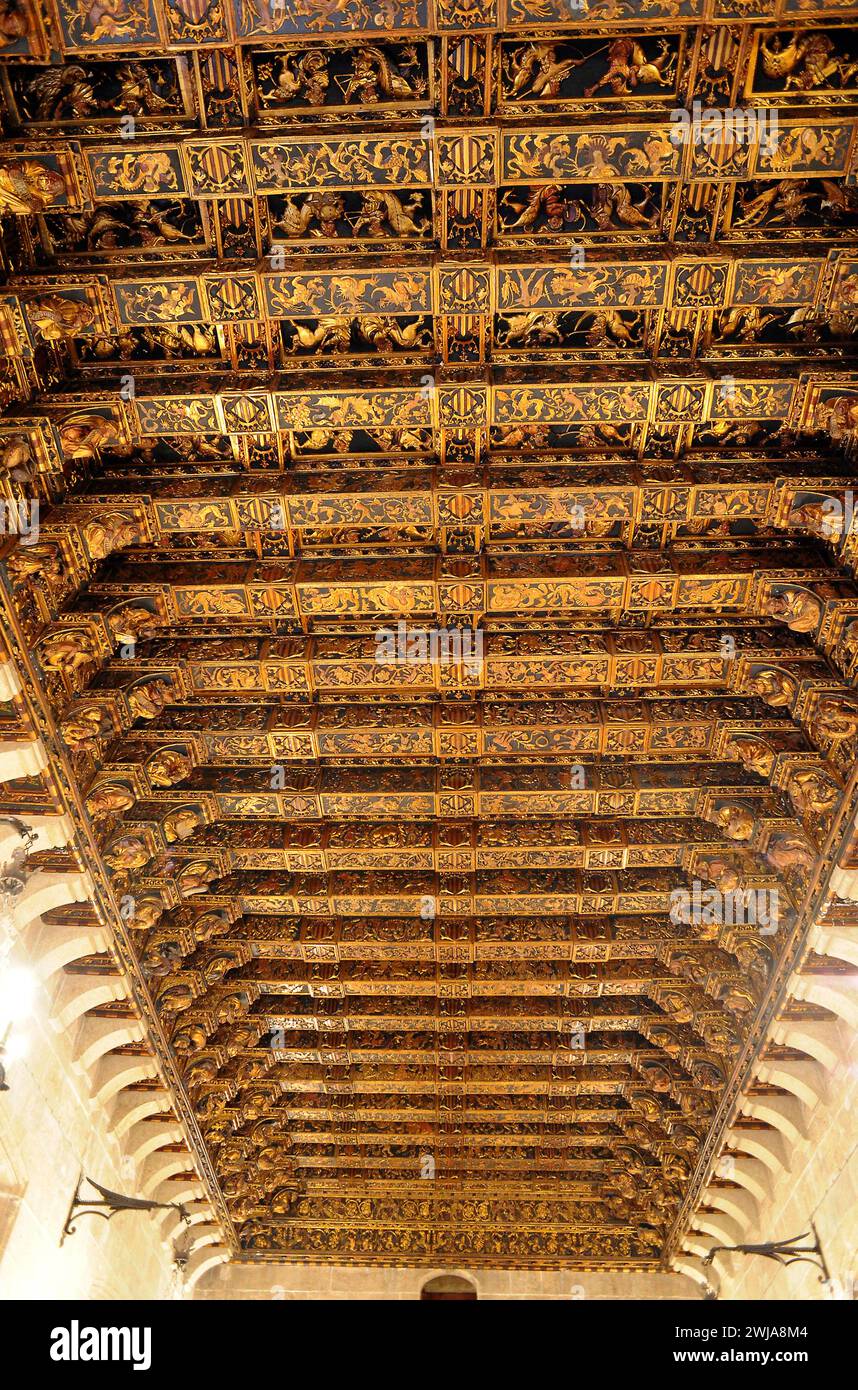 Camara dorada hi-res stock photography and images - Alamy