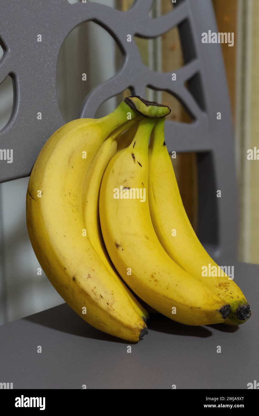 Bunch of Ripe Yellow Bananas in the Kitchen Stock Photo - Alamy