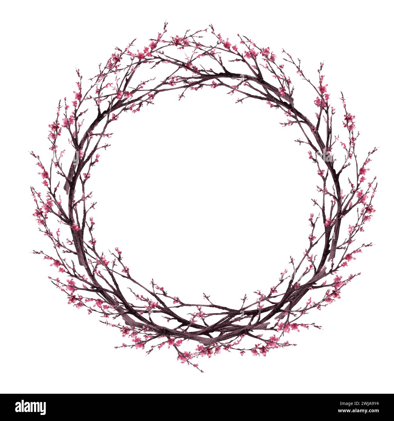 Watercolor hand drawn early spring blossoms of trees brunch sakura ...