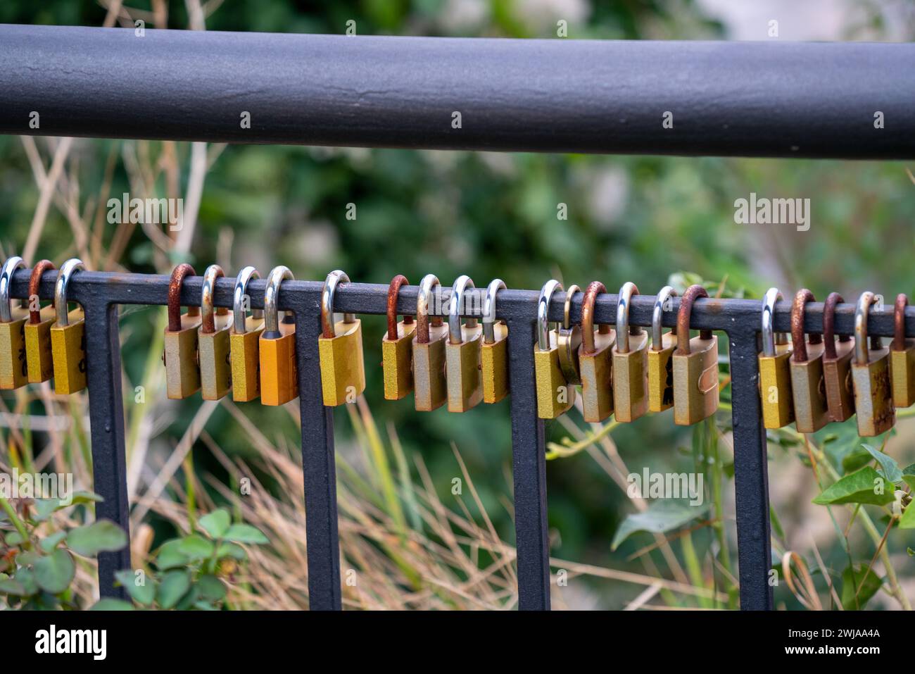 Locks on the railings are a tradition and the concept of eternal unity ...