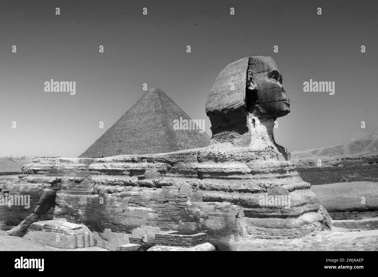 The full profile of the Great Sphinx with the pyramid in the background ...
