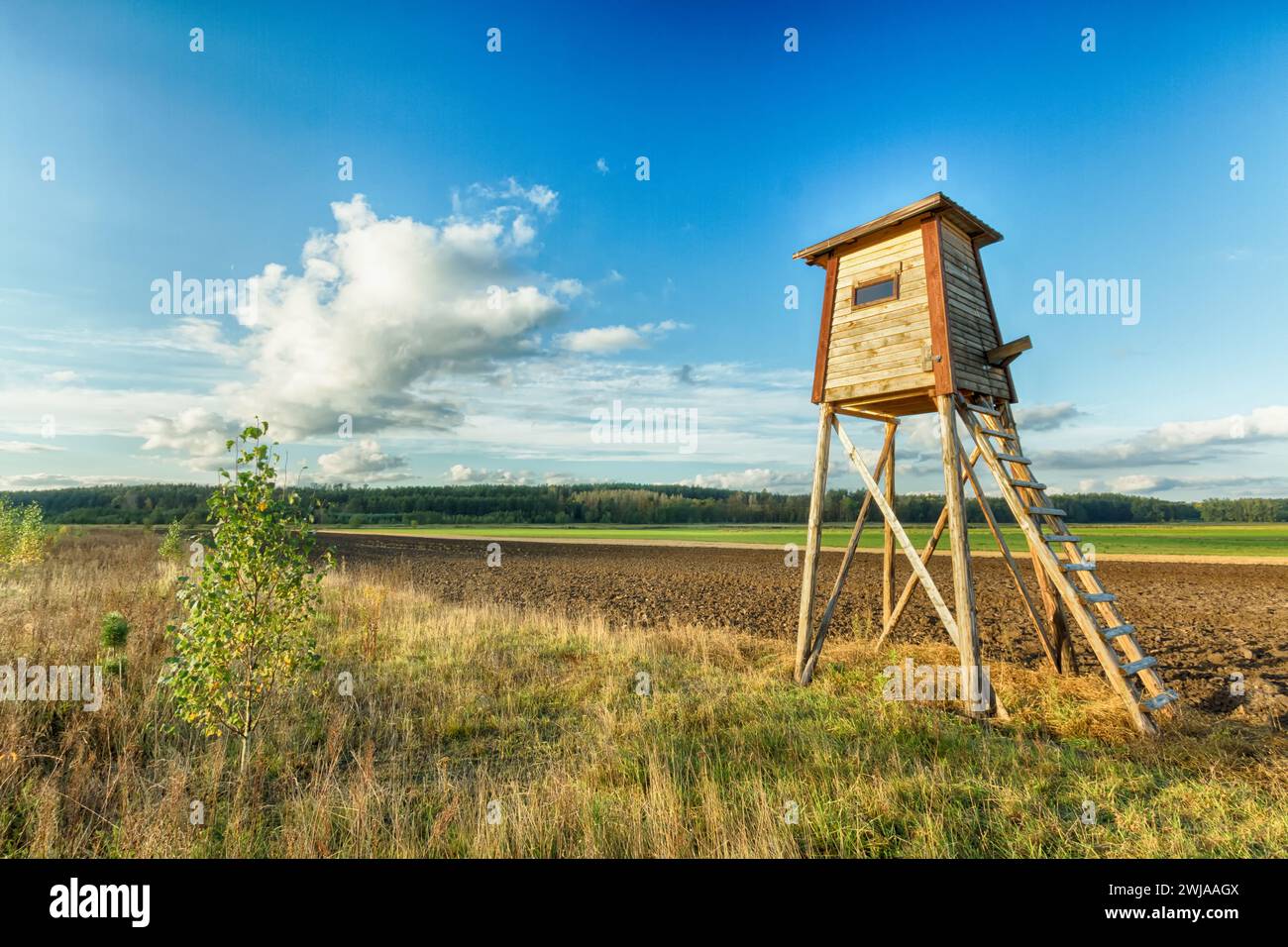 Landscape with hunting lodge in middle of meadow Stock Photo - Alamy