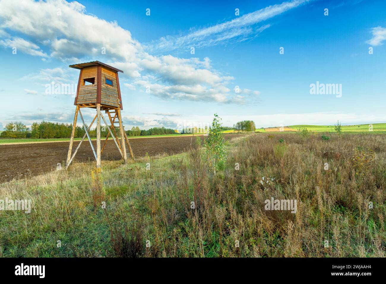 Landscape with hunting lodge in middle of meadow Stock Photo - Alamy