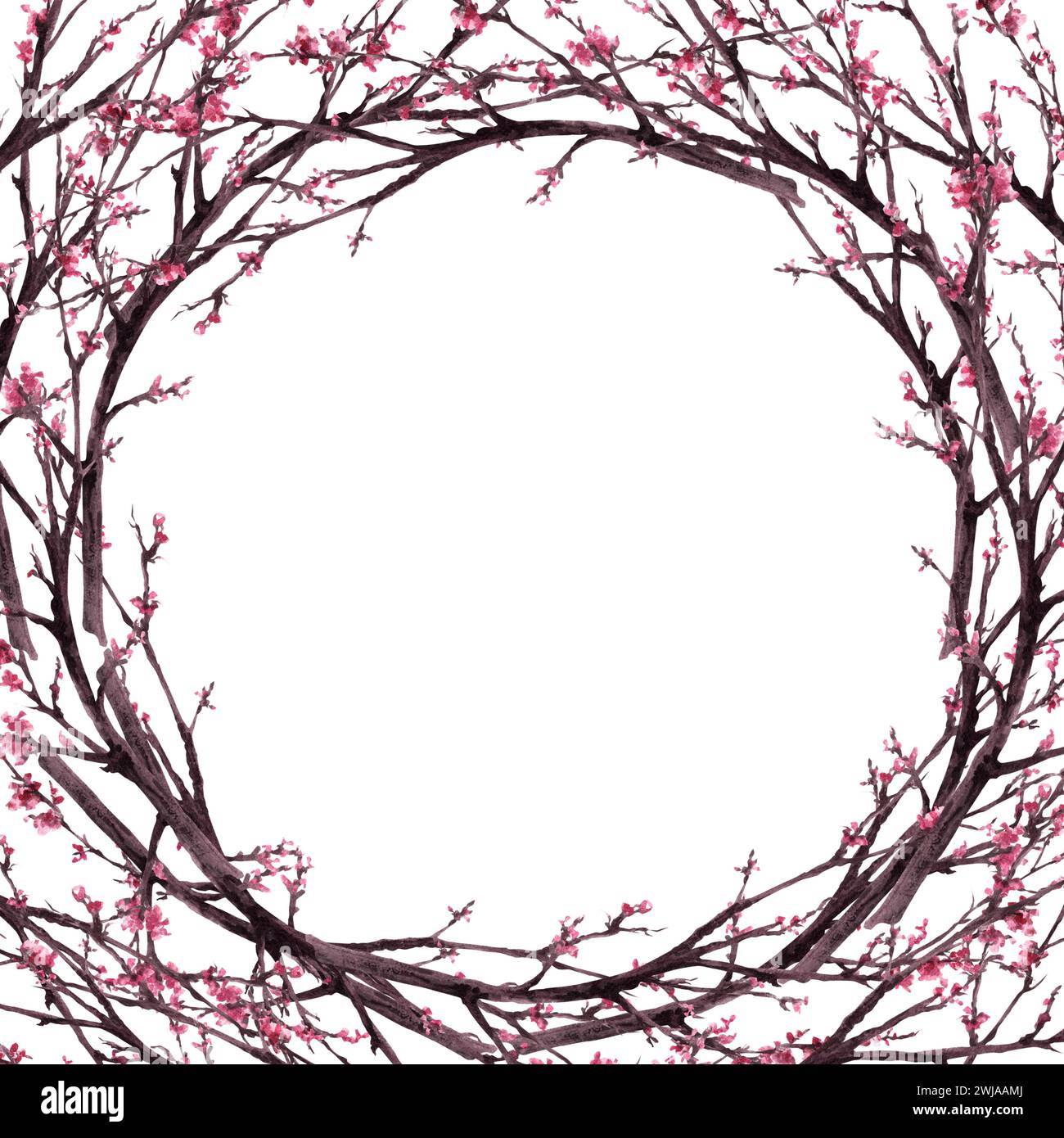 Watercolor hand drawn early spring blossoms of trees brunch sakura ...