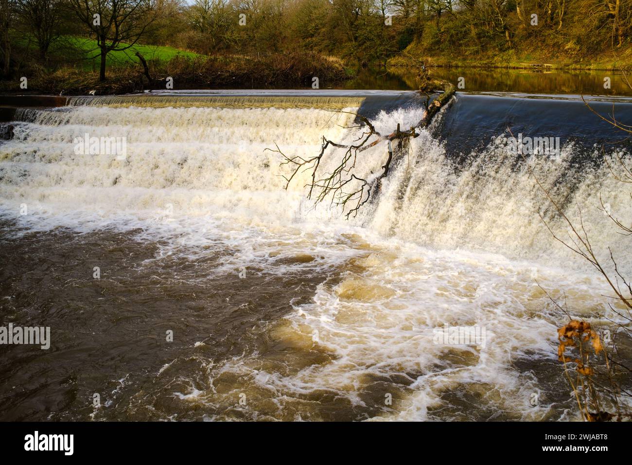 Burrs country park Bury weir on the river Irwell with fallen tree ...