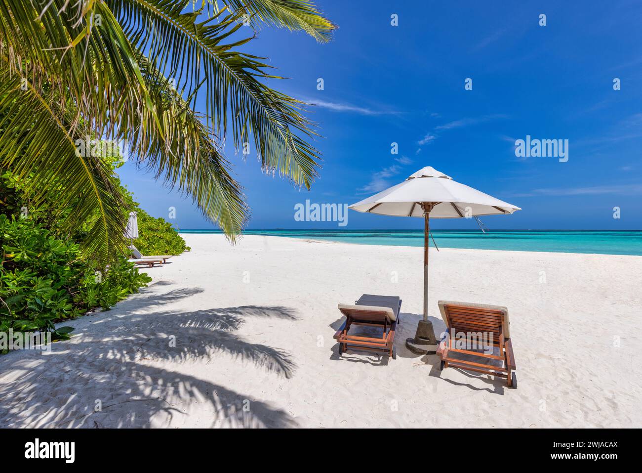 Tropical paradise beach white sand coco palms travel tourism panorama ...