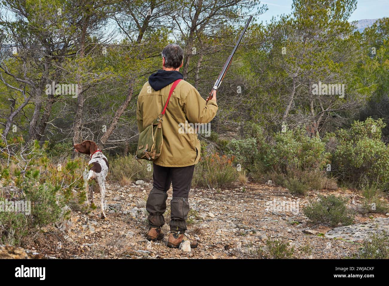 Stalking with a hunter in the hills of the Provence region, in ...