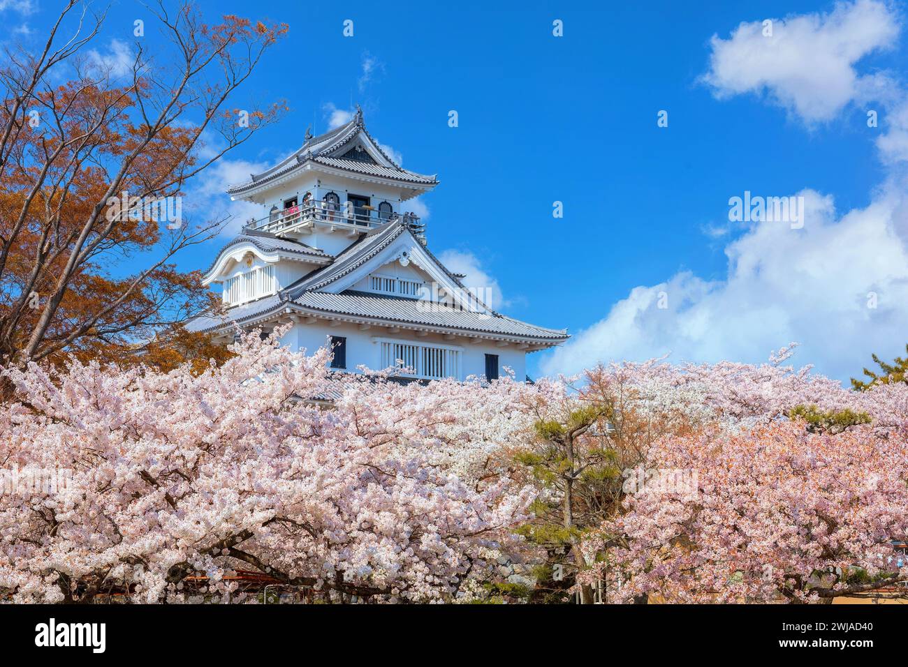 Shiga, Japan - April 3 2023: Nagahama Castle built by feudal lord ...