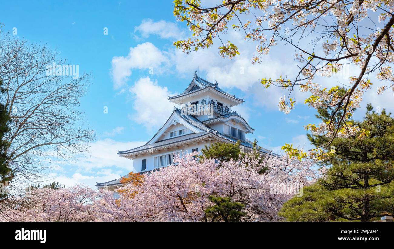 Shiga, Japan - April 3 2023: Nagahama Castle built by feudal lord ...