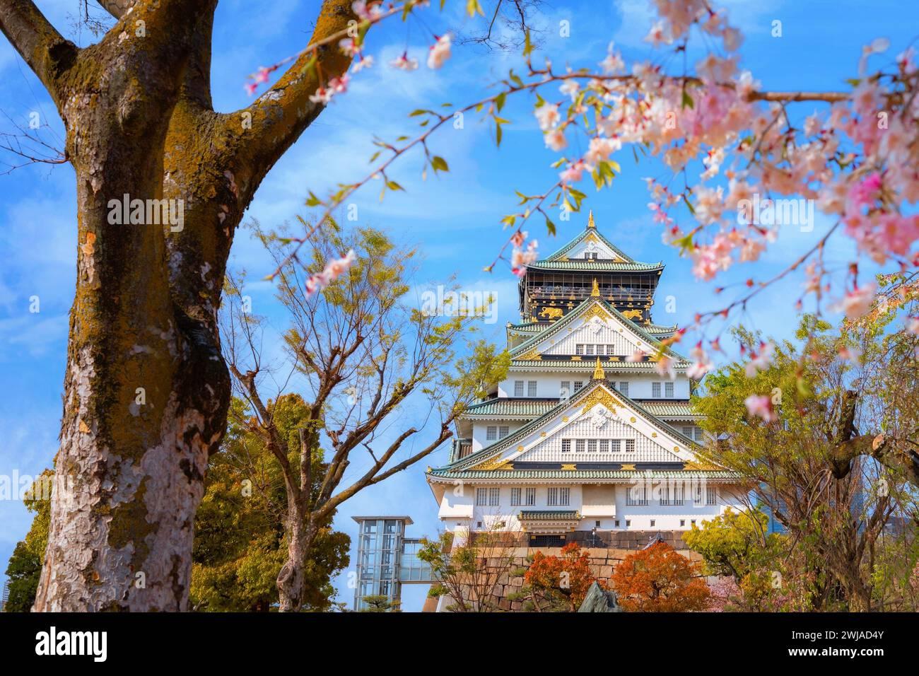 Osaka, Japan - April 4 2023: Osaka Castle dates back to 1583, it's one ...