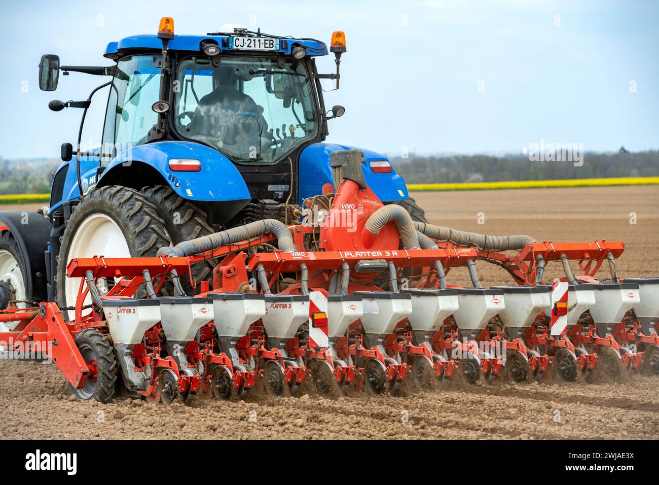 Sugar beet seed hi-res stock photography and images - Alamy