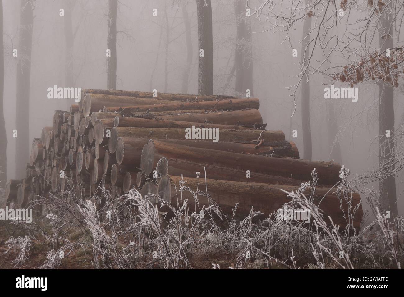 Nebelfoto hi-res stock photography and images - Alamy