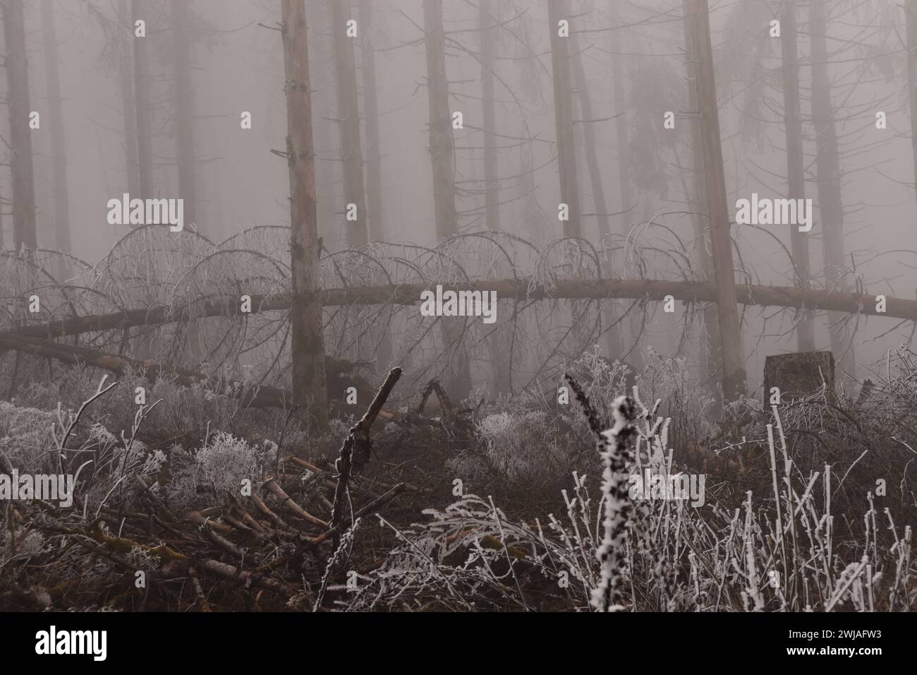 Nebelfotografie hi-res stock photography and images - Alamy