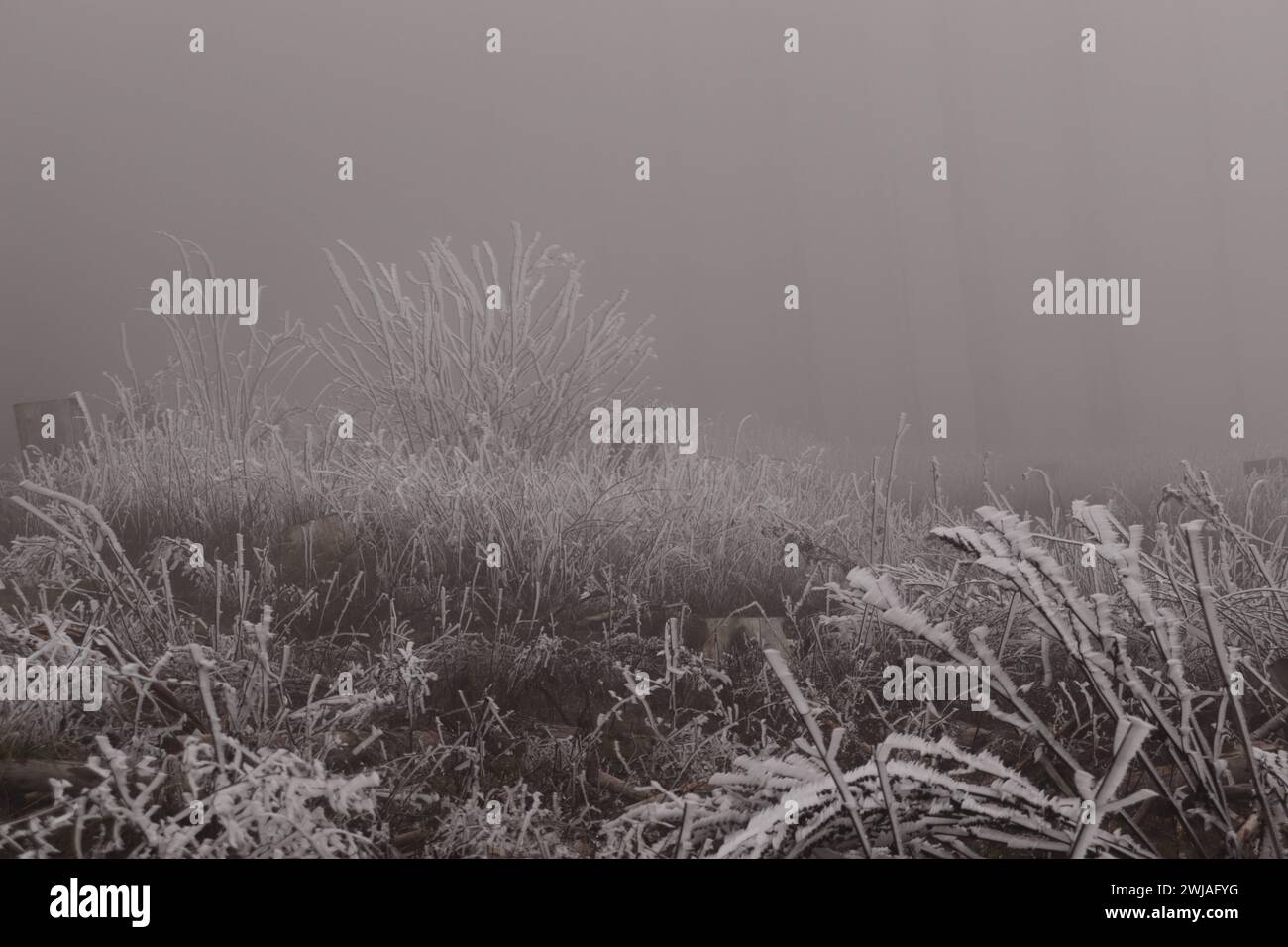 Nebelfoto hi-res stock photography and images - Alamy