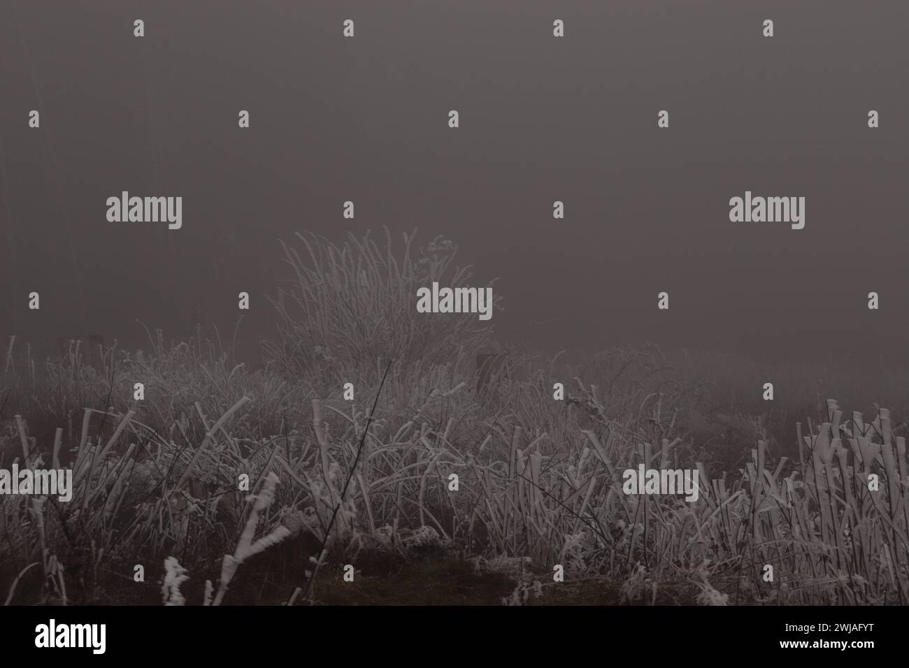 Nebelfoto hi-res stock photography and images - Alamy