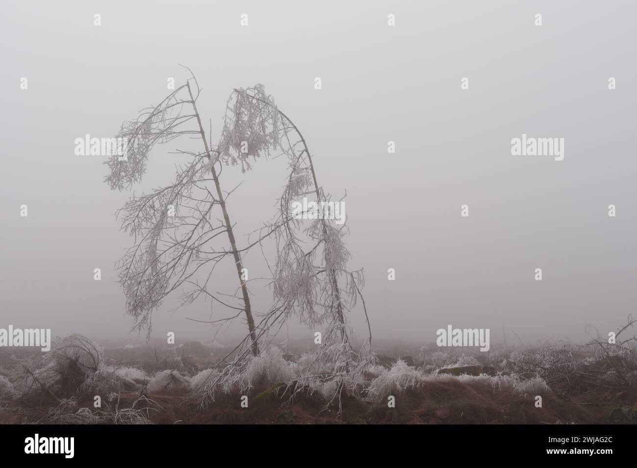 Nebelfoto hi-res stock photography and images - Alamy