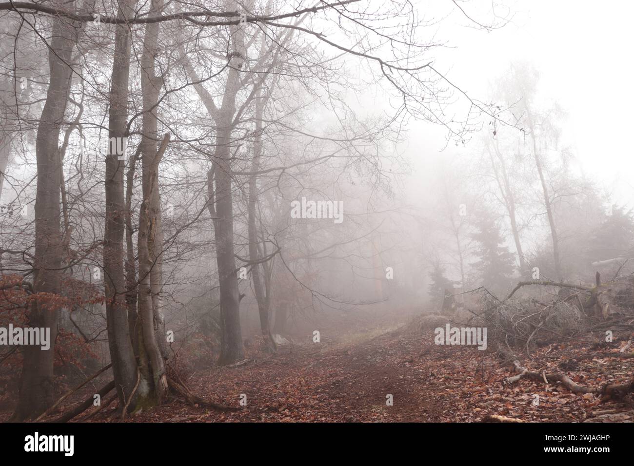 Nebelfoto hi-res stock photography and images - Alamy