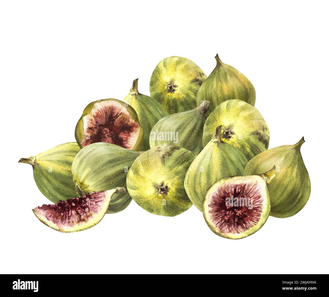 A pile of ripe, juicy green figs, picked overripe, whole and cut fruit ...