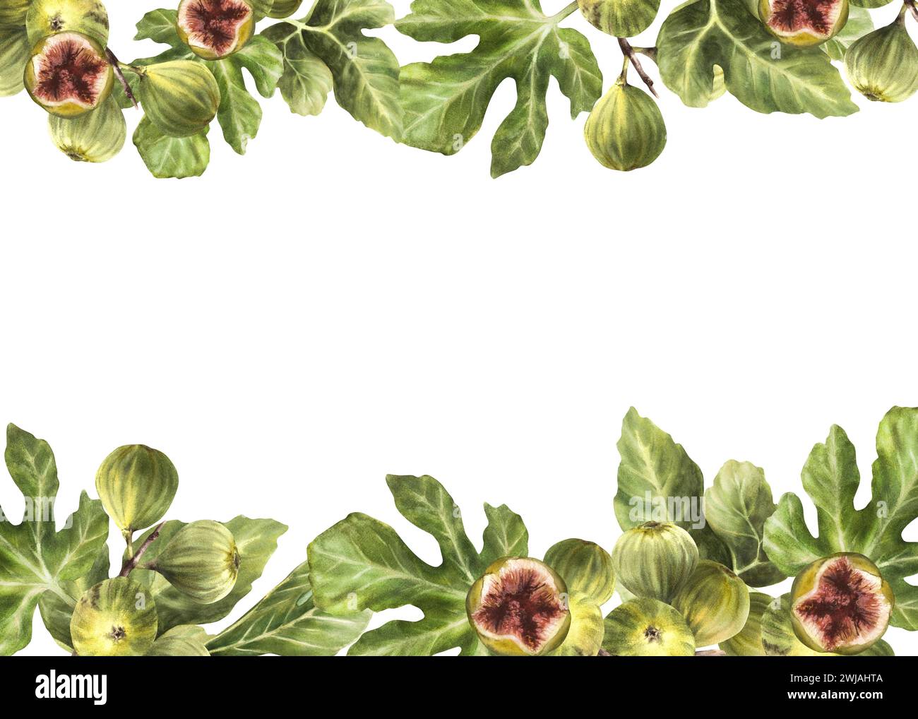 Branch of juicy, ripe overripe figs with leaves and whole fruit Food ...