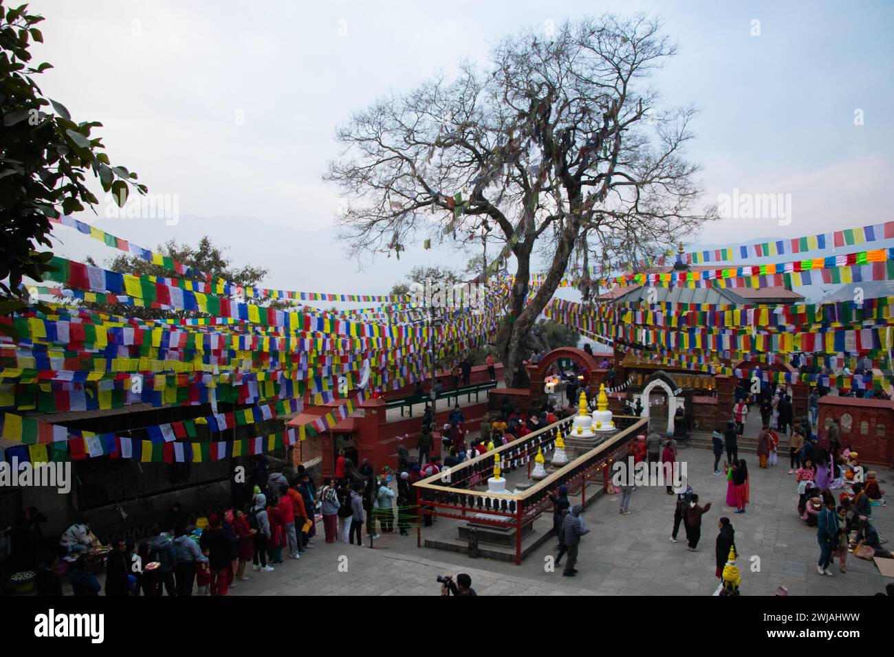 Kathmandu, Nepal. 14th Feb, 2024. On February 14, 2024, in Kathmandu ...