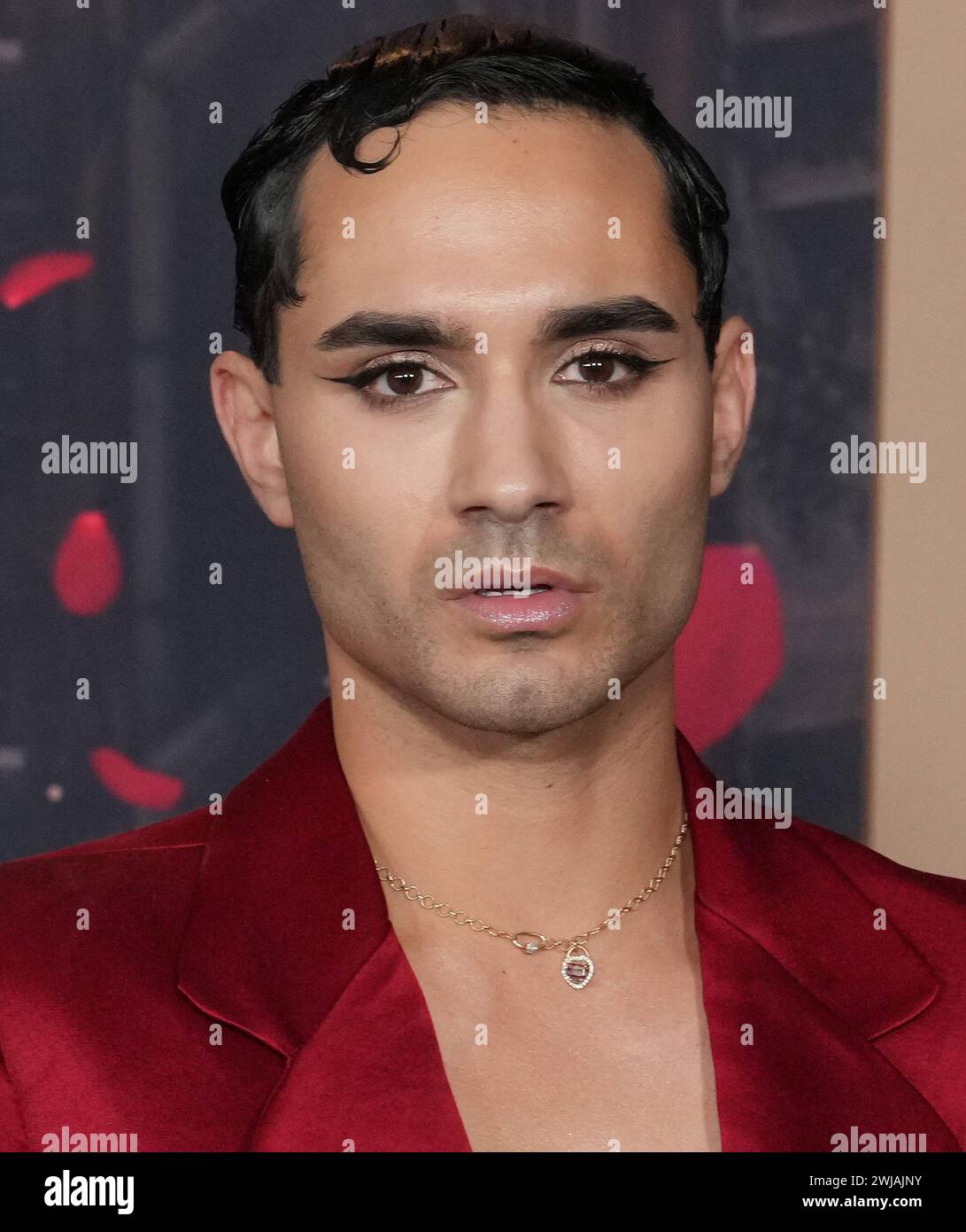 Los Angeles, USA. 13th Feb, 2024. Brandon Delsid at the Amazon MGM ...