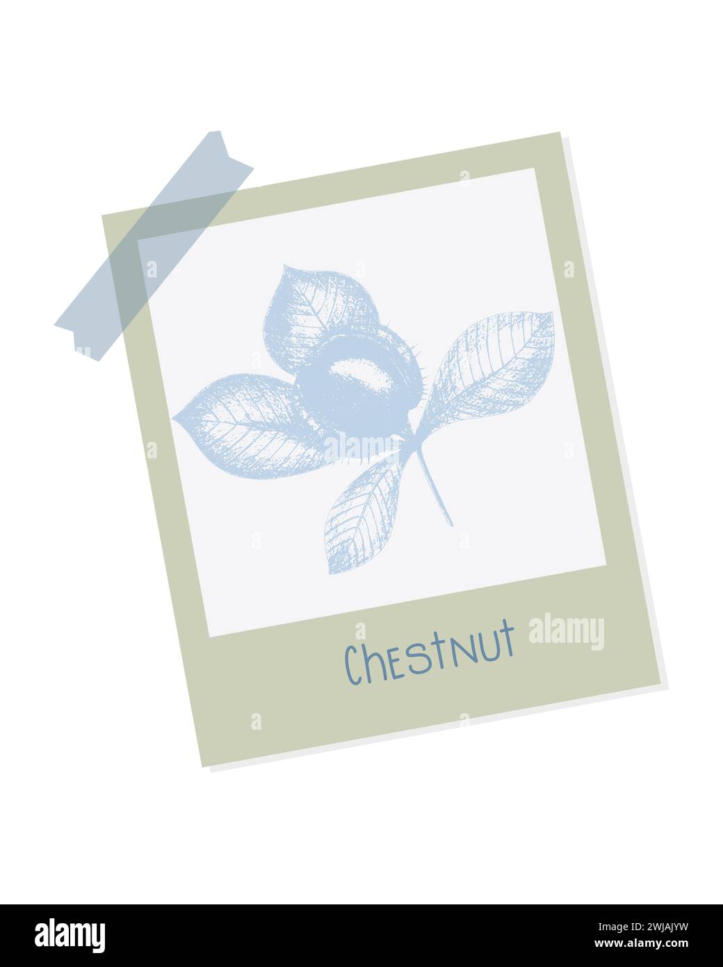 Digital scrapbooking element vintage illustration of blue imprint ...