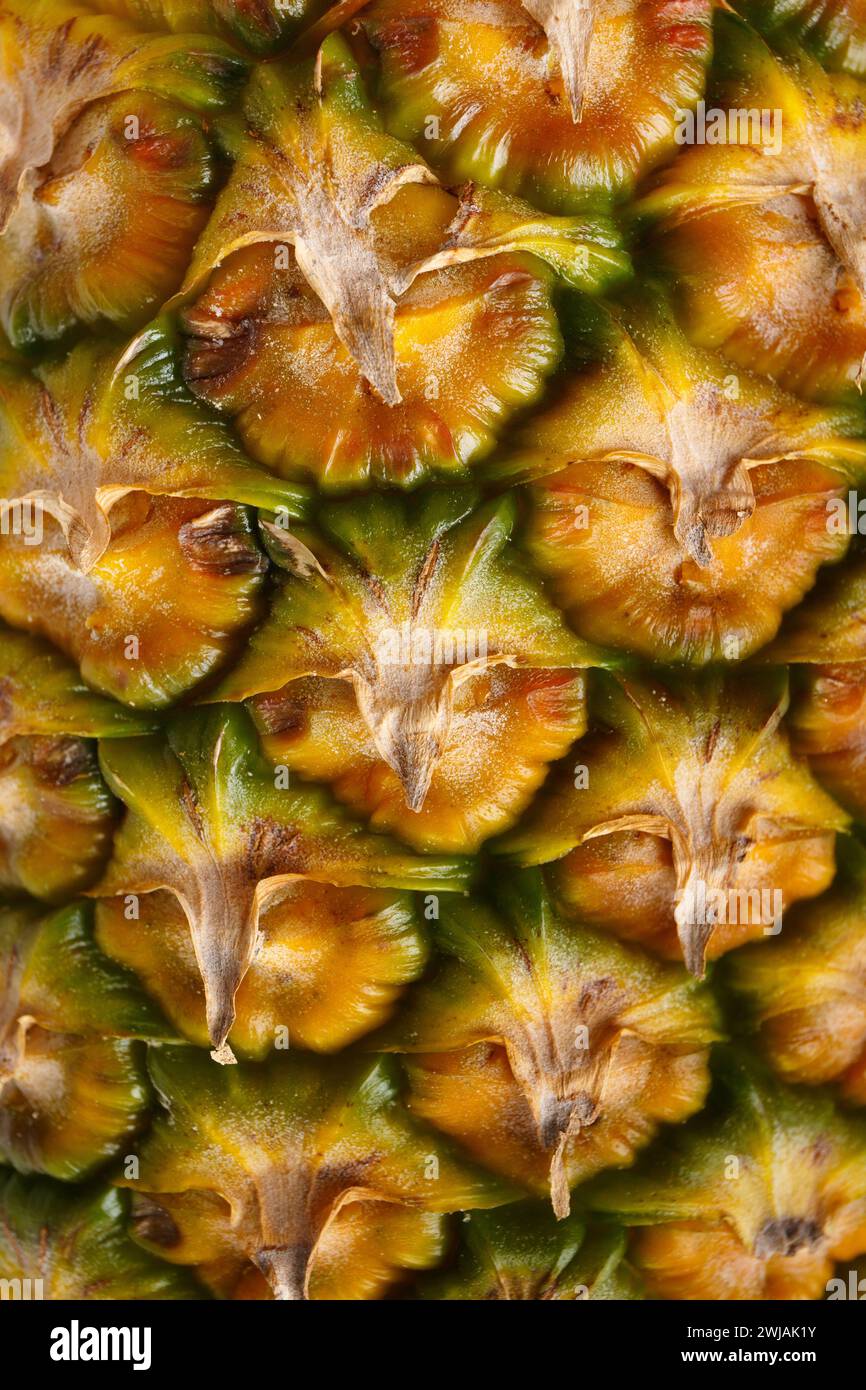 Pineapple close up pattern hi-res stock photography and images - Alamy