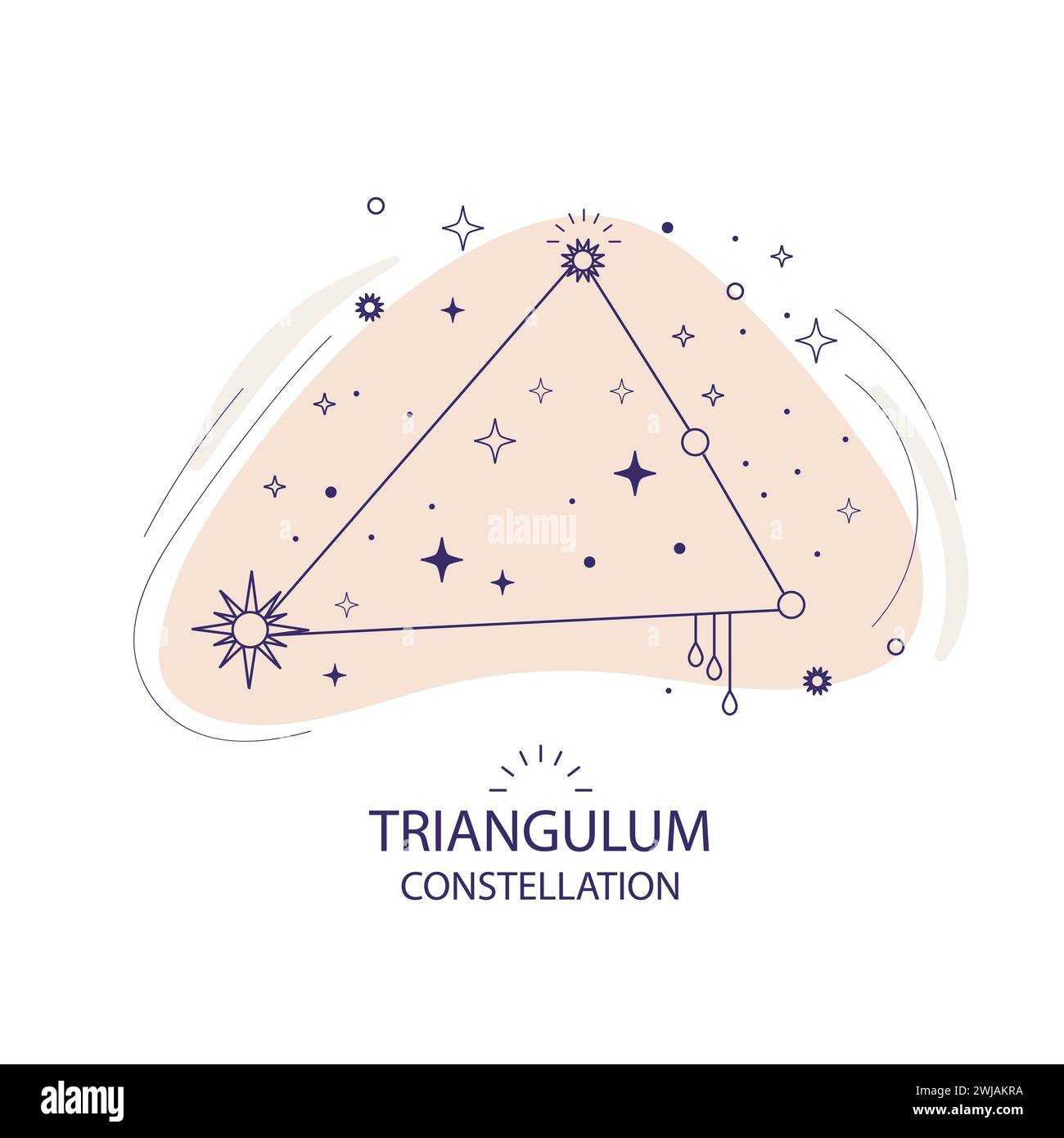 Star constellation Triangulum vector illustration Stock Vector Image ...