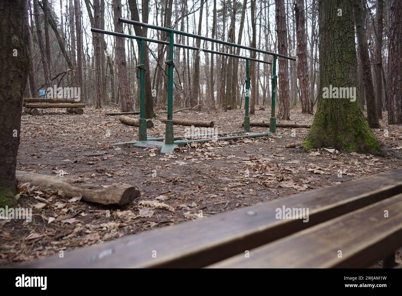 Photo of parallel bars in the woods Stock Photo - Alamy