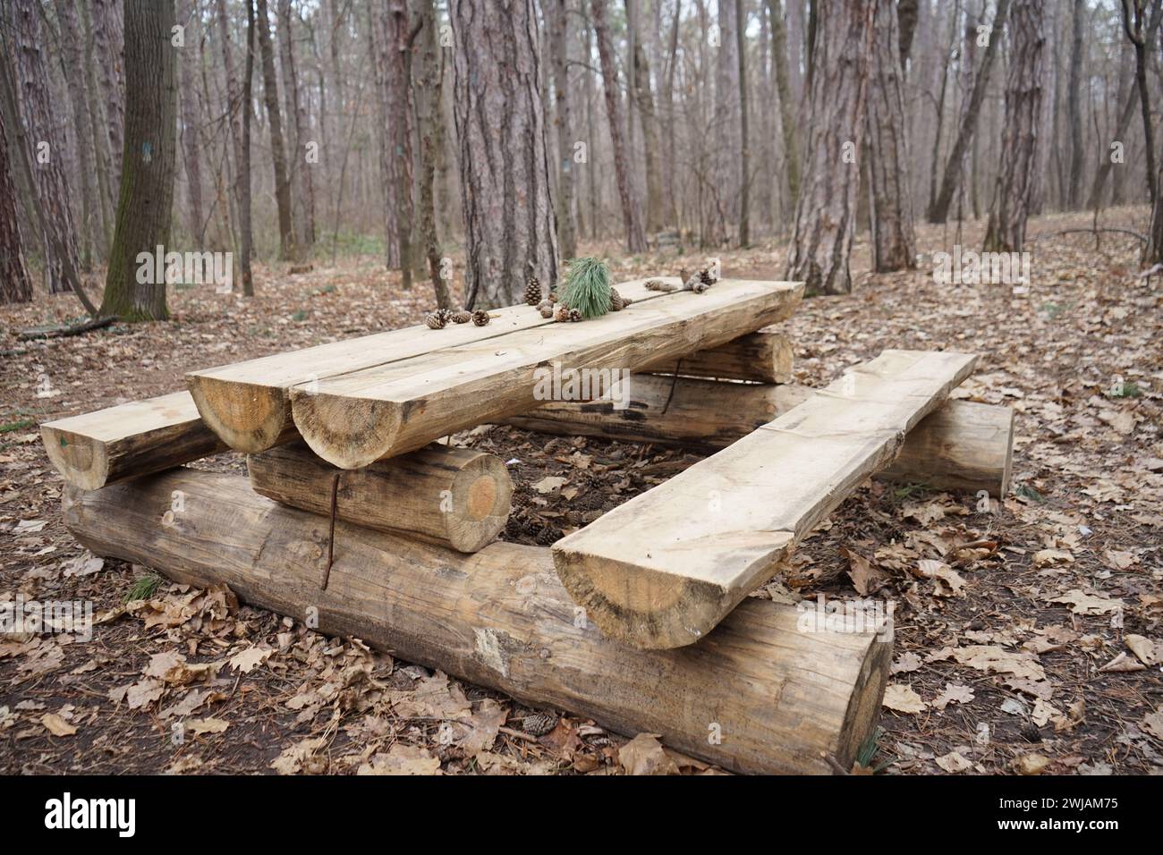 Photo of compass painted on the ground Stock Photo - Alamy