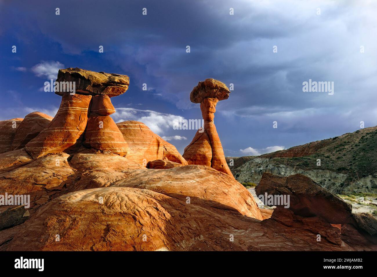 A beautiful landscape showcasing the mesmerizing Toadstool Hoodoos in ...